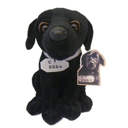 Den Korte Avis | Pep-lo-res