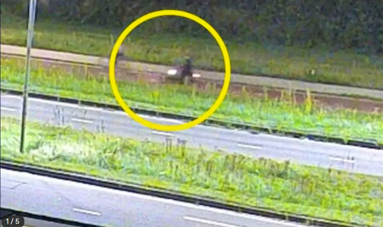 Den Korte Avis | 17-årige Lisa blev bange, da hun cyklede hjem, og med ...